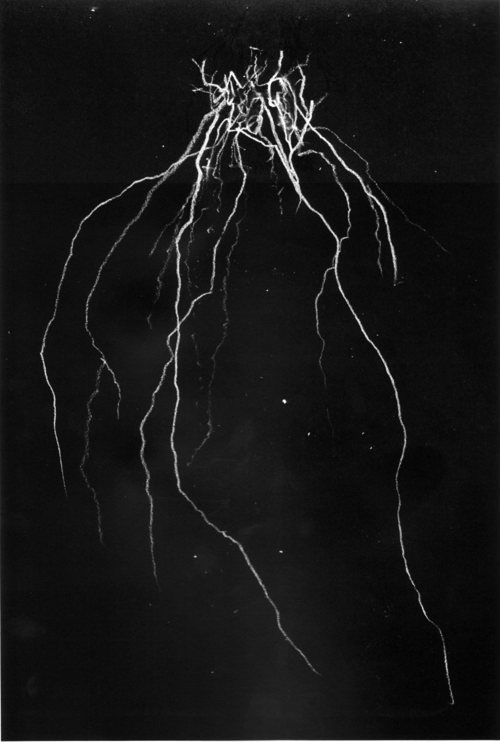 “extreme” metal logos – Harsh Forms